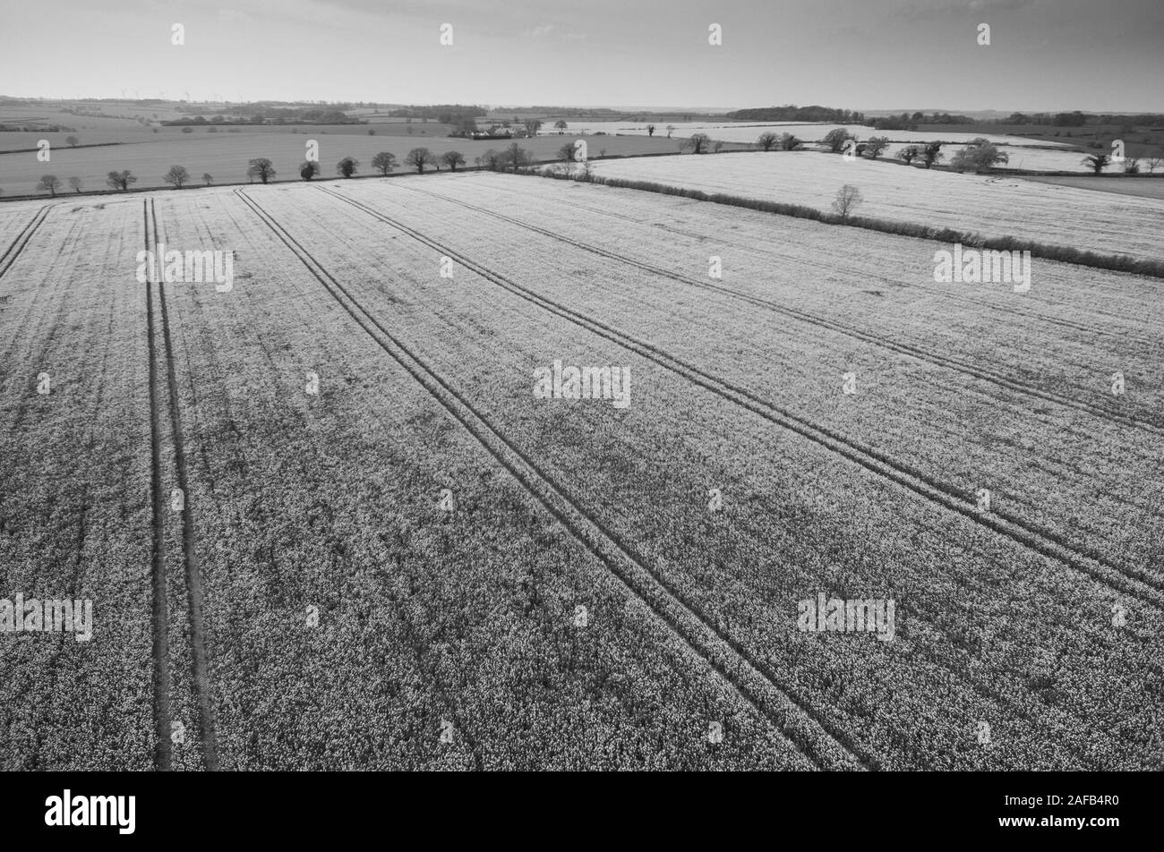 Aerial view field uk Black and White Stock Photos & Images - Alamy