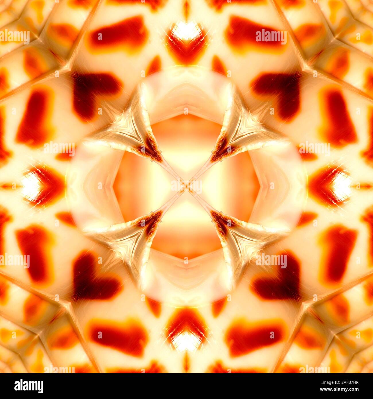 Symmetrical replected abstract pattern created from an original photo ...
