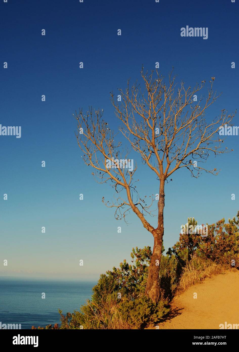 Blue sky lions head hi-res stock photography and images - Alamy