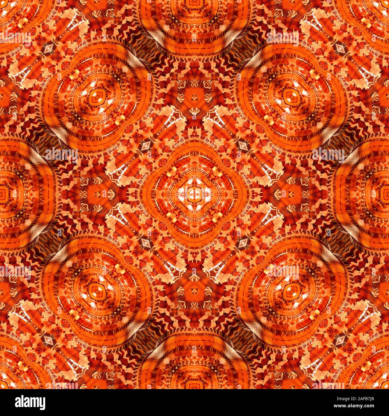 Symmetrical replected abstract pattern created from an original photo ...