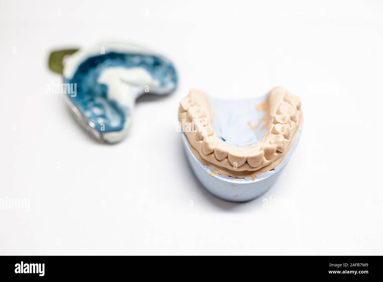Artificial plaster jaw model with impression on the white background ...