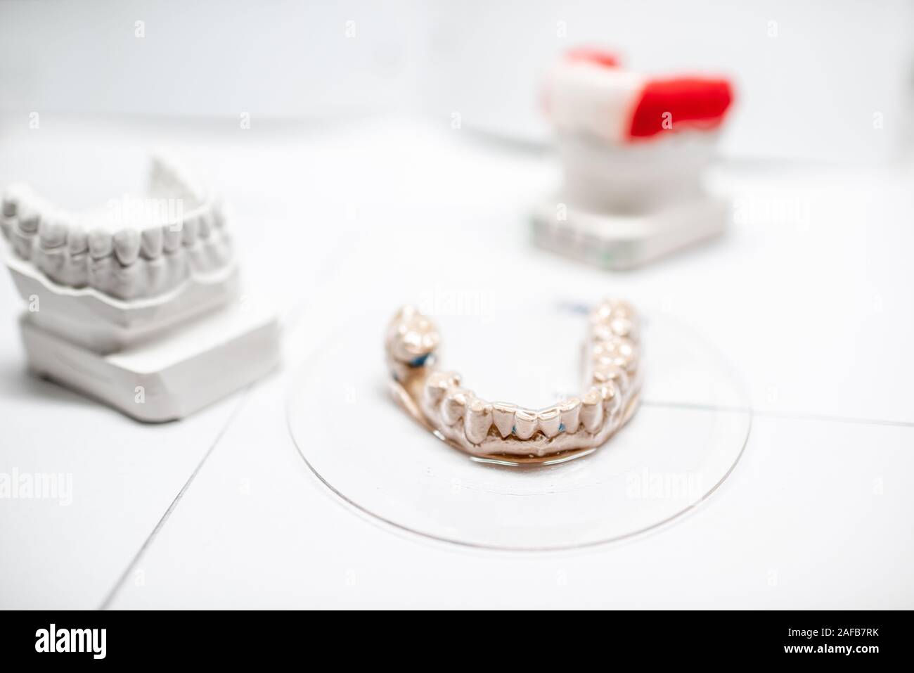 Gypsum models of artificial jaw with dental caps on the white ...