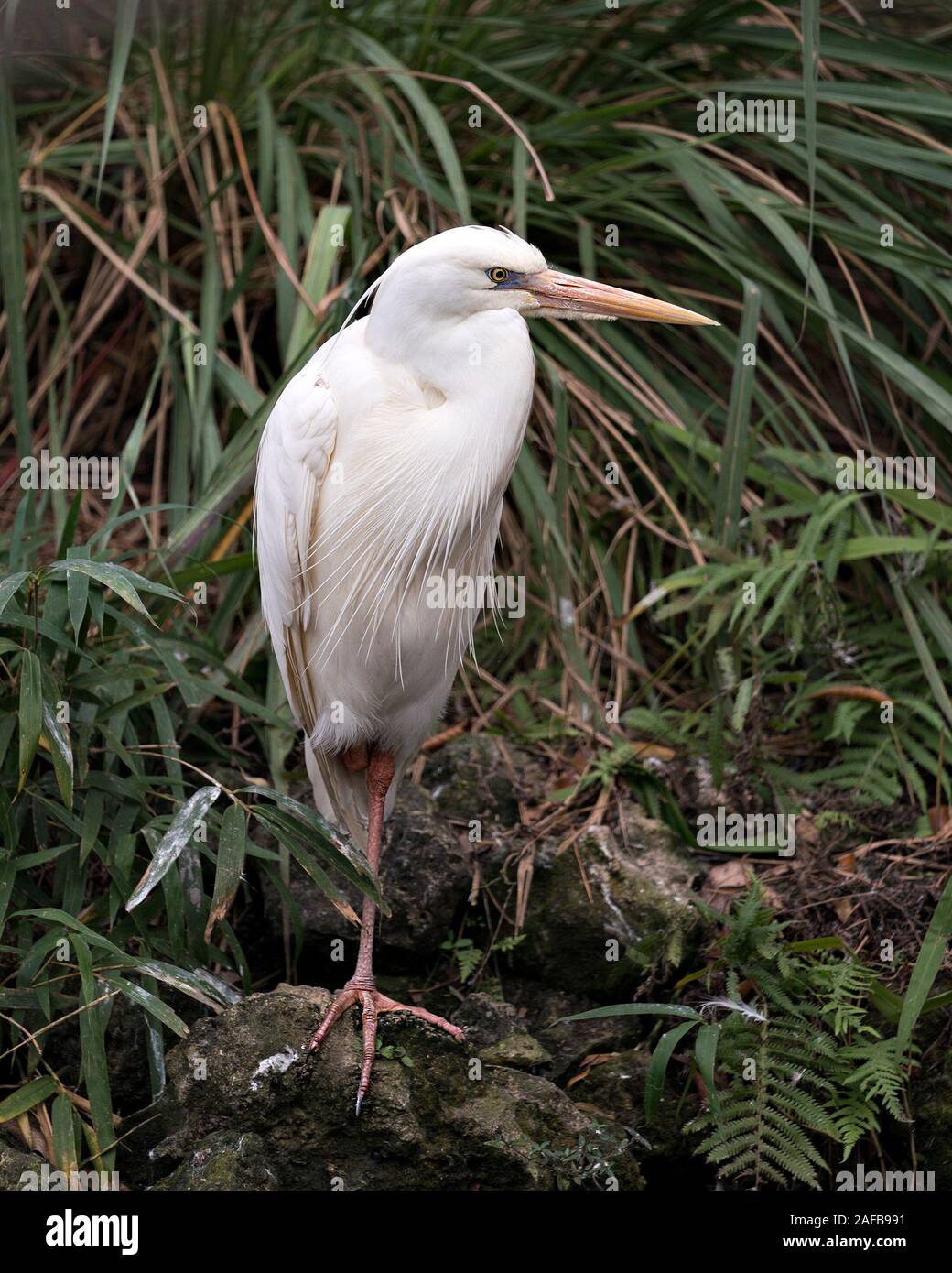 Attractive profile picture hi-res stock photography and images - Alamy