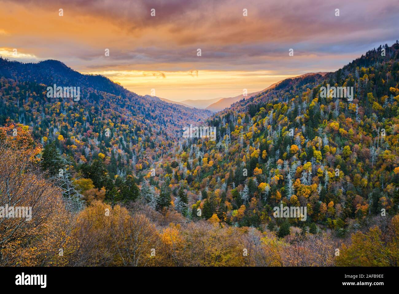 Smoky Mountains National Park, Tennessee, USA autumn landscape at dawn ...