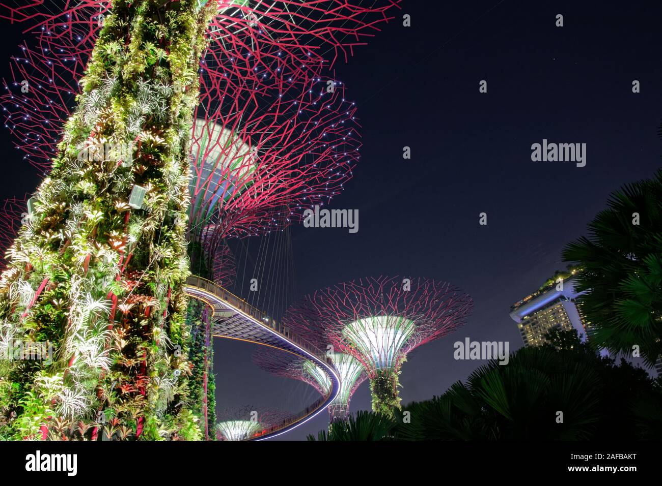 panorama at Supertrees during the night Musical Lights Show in the ...