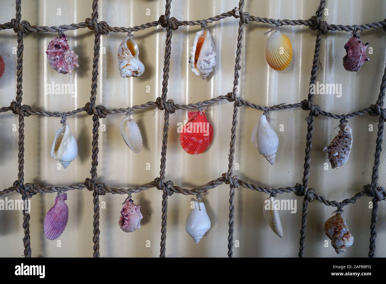Hanging shells hi-res stock photography and images - Alamy