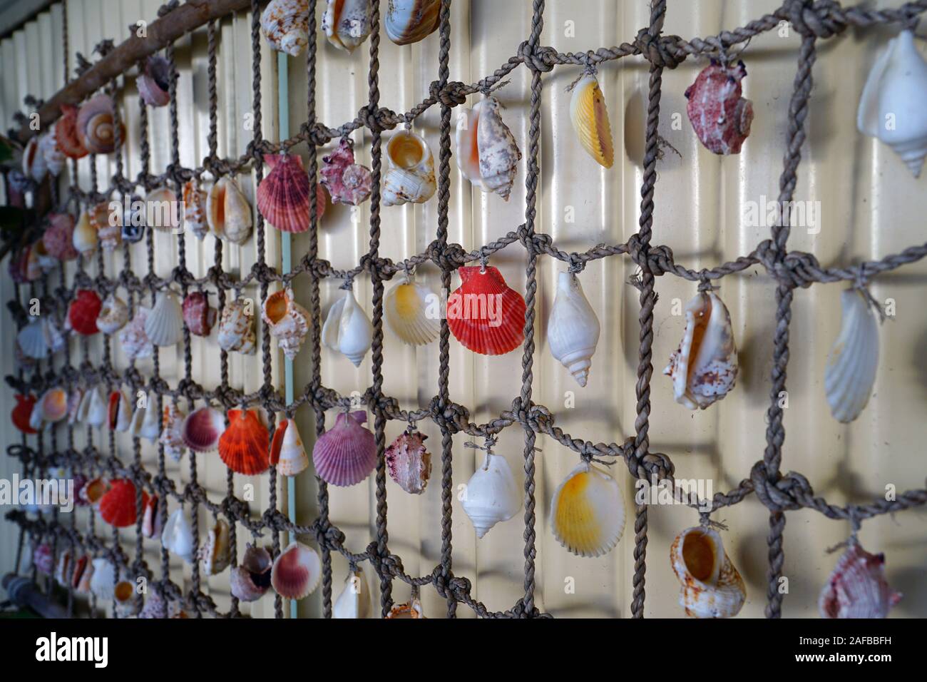 Hanging shells hi-res stock photography and images - Alamy