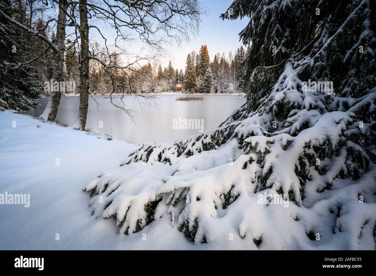 Scenic Frozen Lake