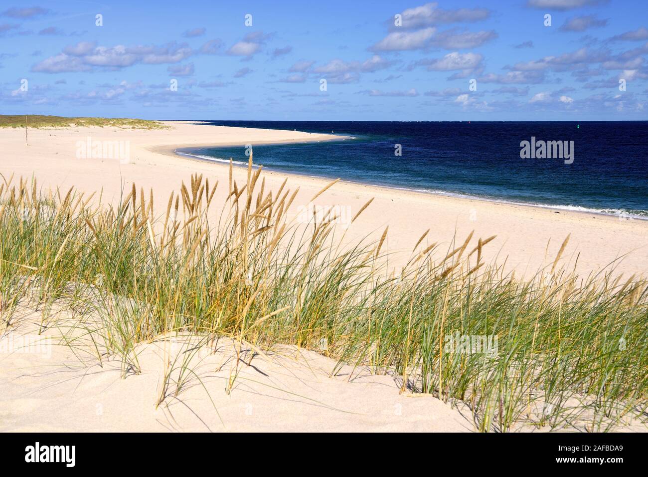 Dünenlandschaft am Ellenbogen, List, Sylt, nordfriesische Inseln ...