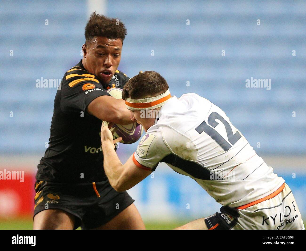 Wasps gabriel oghre hi-res stock photography and images - Alamy