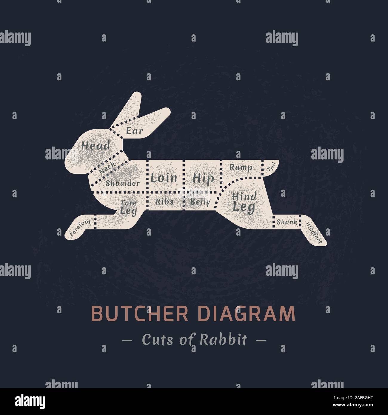 Animal diagram hi-res stock photography and images - Alamy