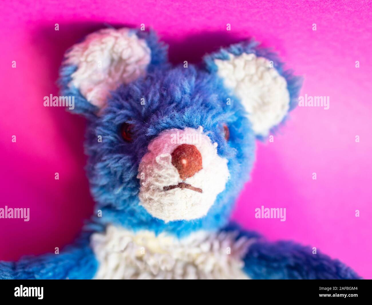 1960s blue furry teddy bear glove puppet Stock Photo - Alamy