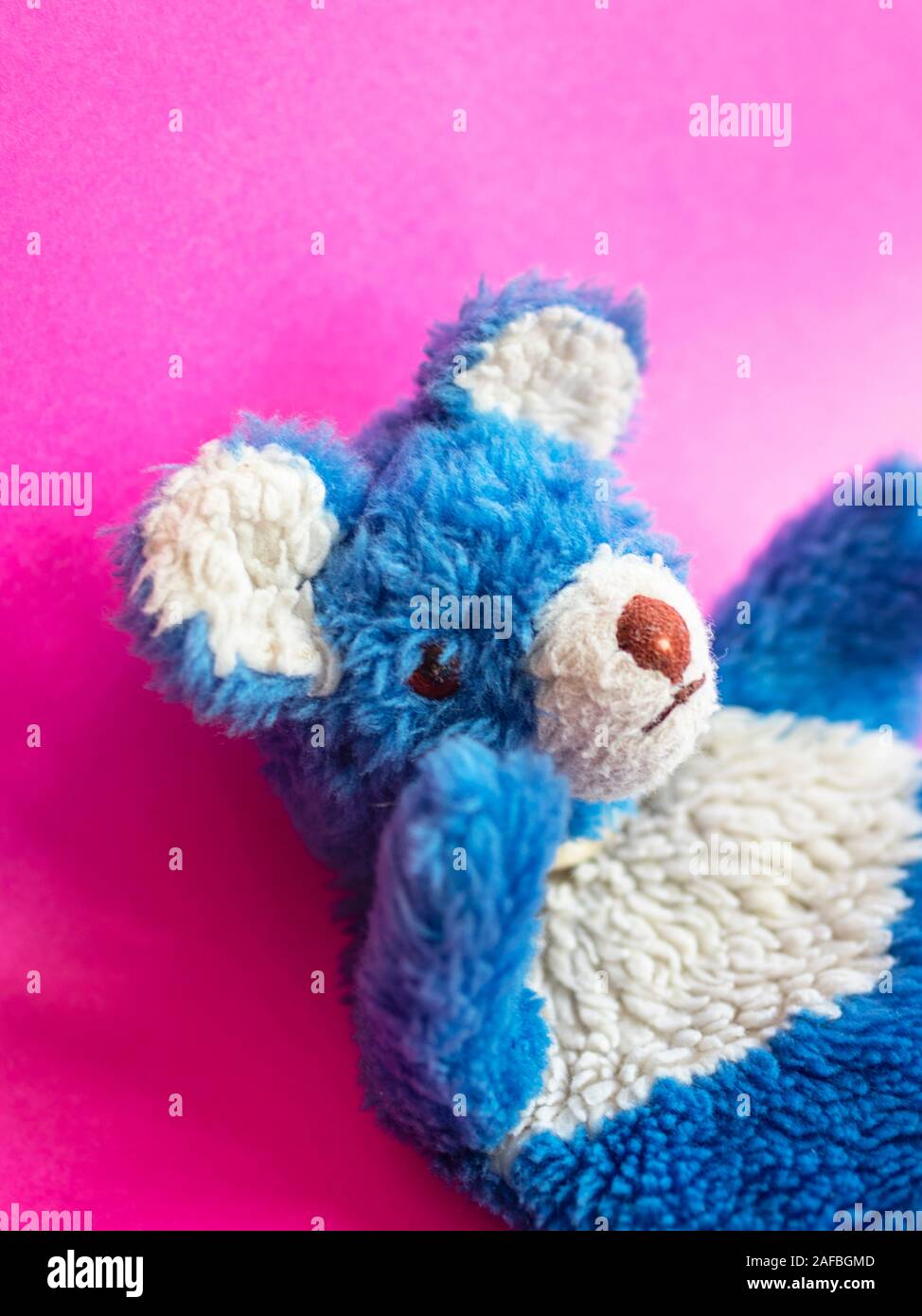 1960s blue furry teddy bear glove puppet Stock Photo - Alamy