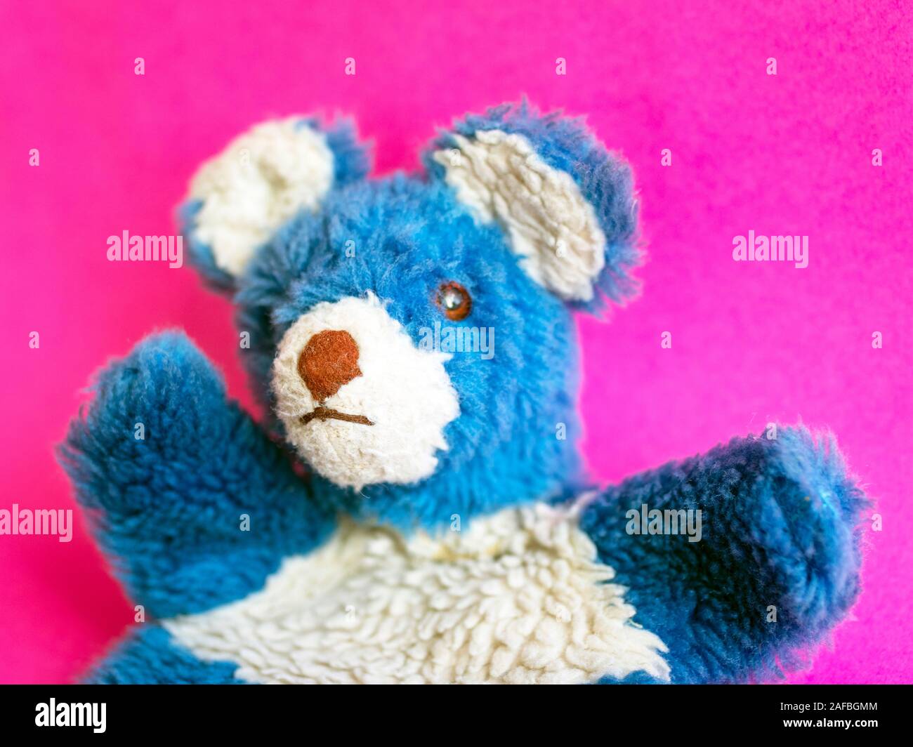 1960s blue furry teddy bear glove puppet Stock Photo - Alamy