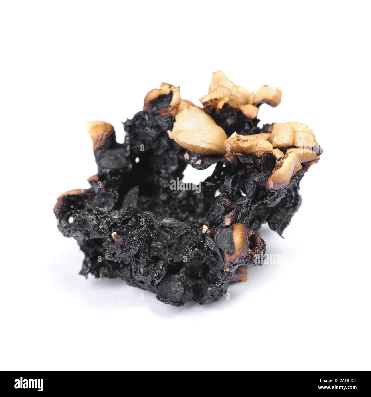 Burnt popcorn kernel isolated over white background Stock Photo - Alamy