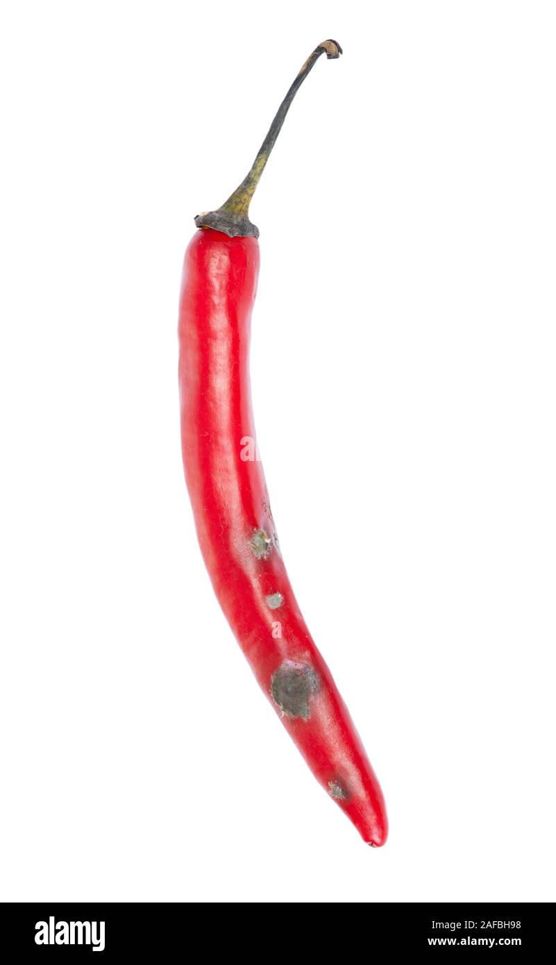 Rotten chili hi-res stock photography and images - Alamy