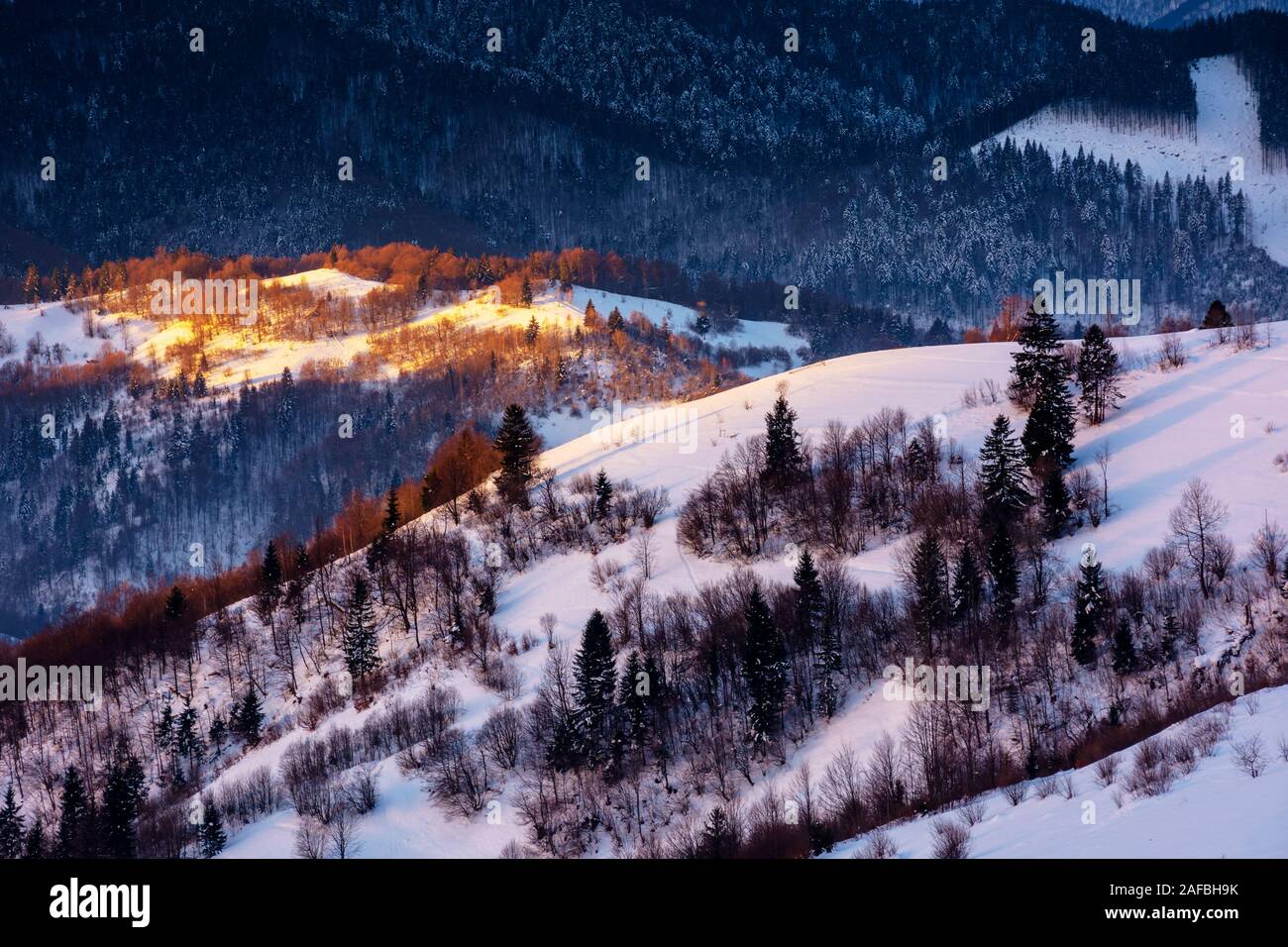 Dark winter scenery hi-res stock photography and images - Alamy