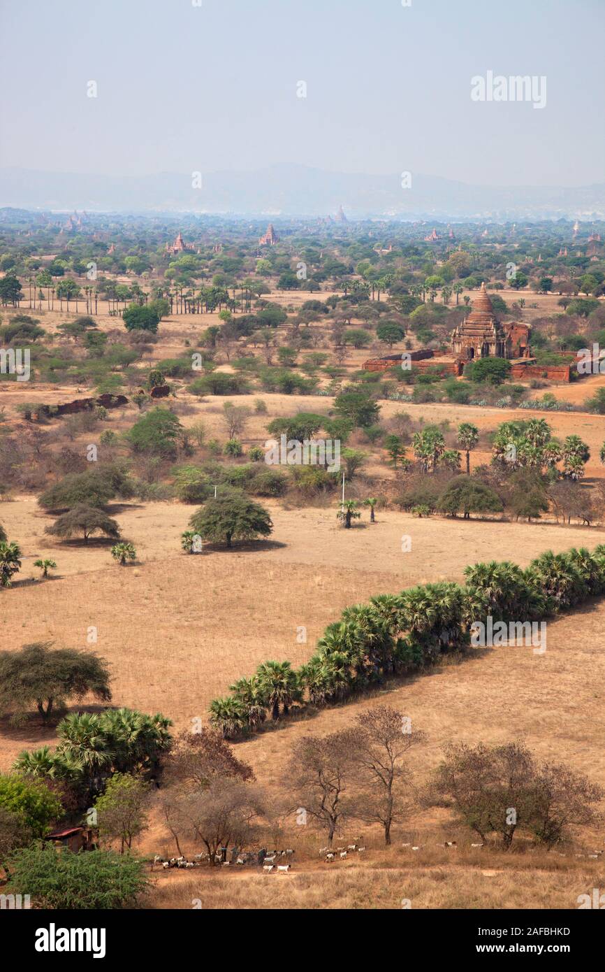 View of Bagan temples from Nan Myint Tower, Old Bagan area, Mandalay ...
