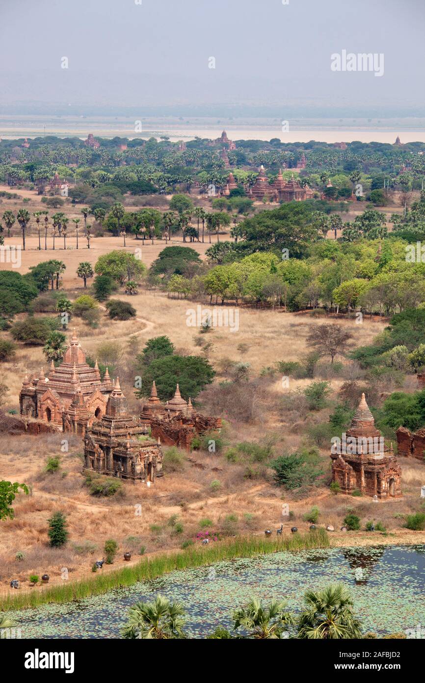 View of Bagan temples from Nan Myint Tower, Old Bagan area, Mandalay ...