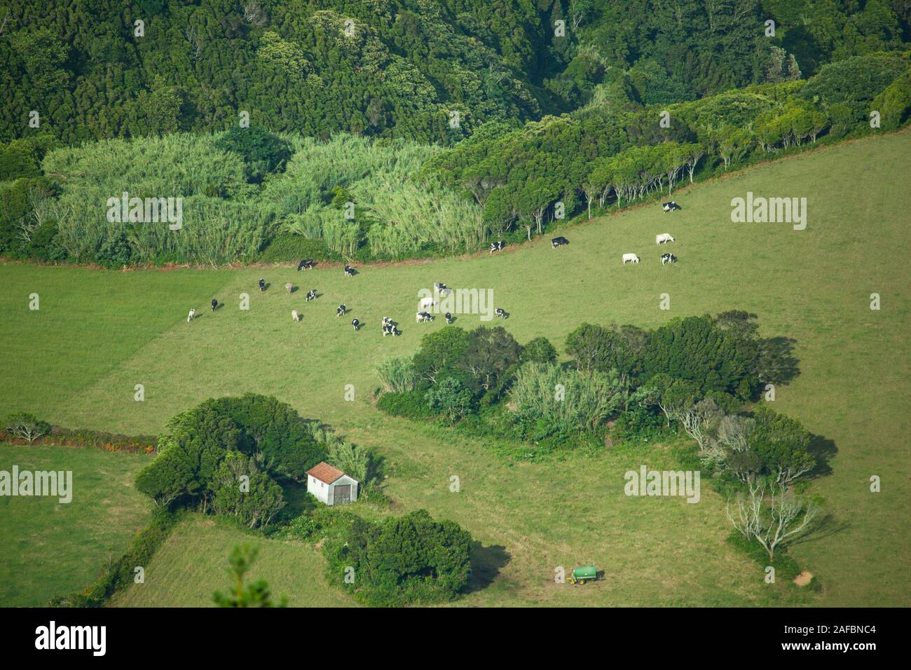 Aerial view showing agricultural fields and forests of Faial island ...