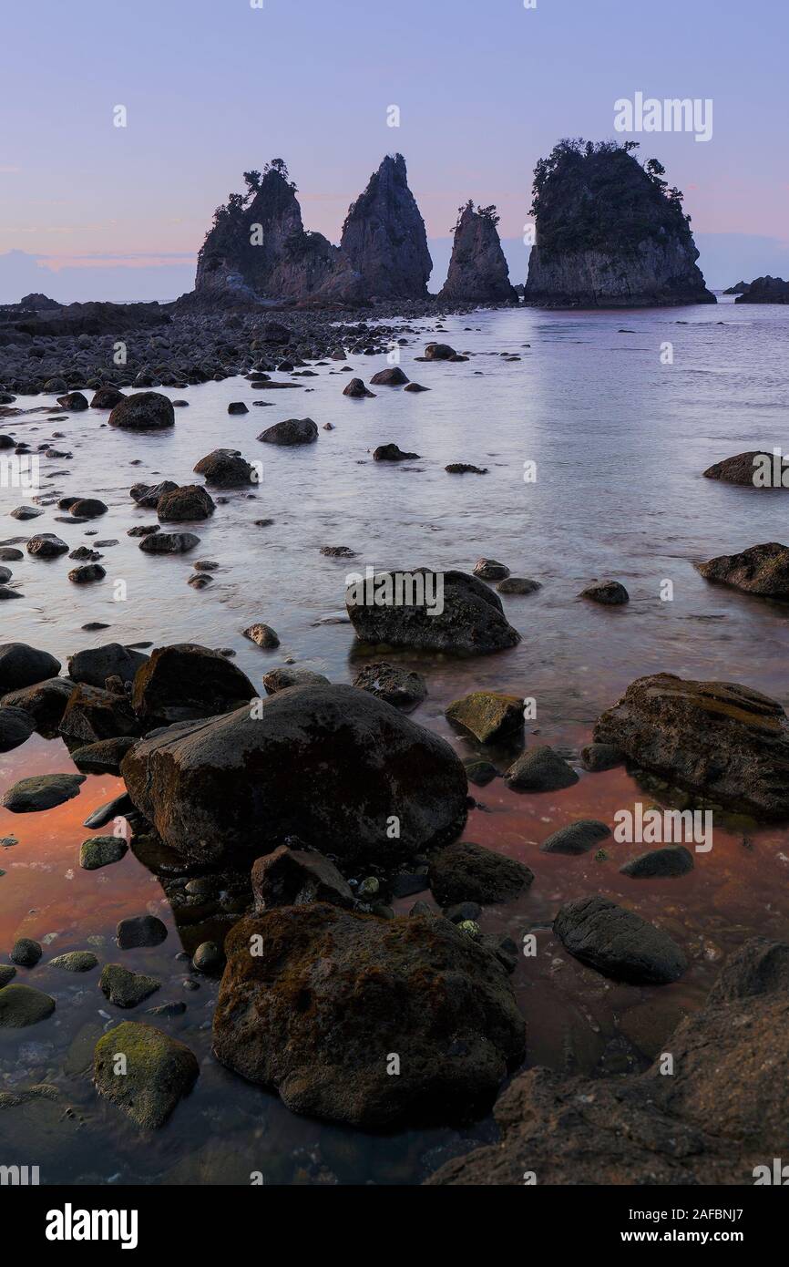 Low tide at dawn, at the Minokakeiwa rocks, with trees growing on them ...