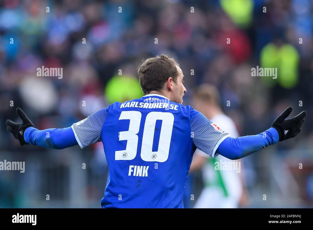 Fink portrait hi-res stock photography and images - Alamy