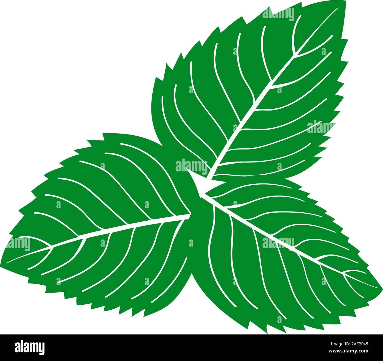 mint icon isolated on white background flat Stock Vector Image & Art ...