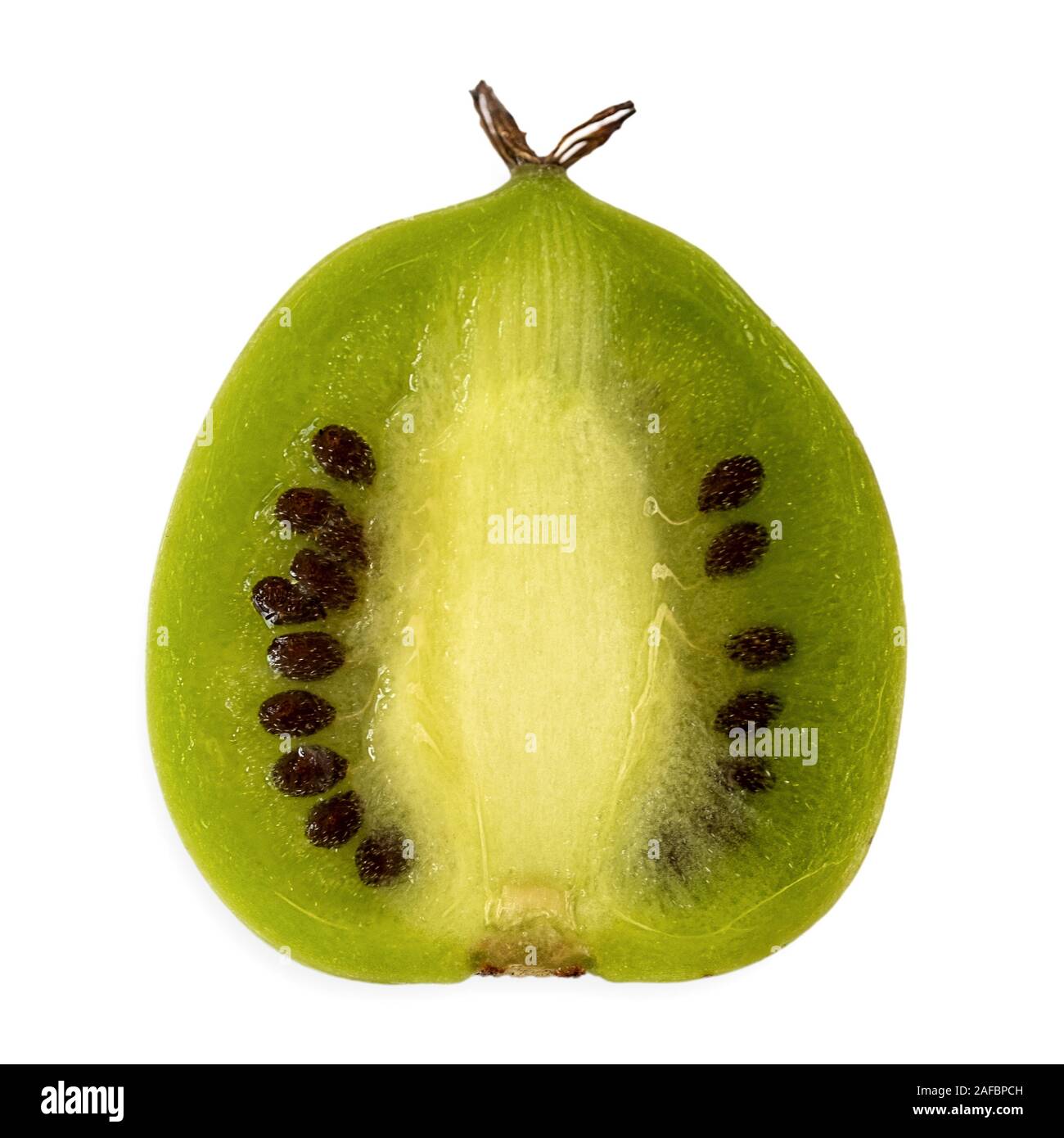 close up of a kiwi isolated on white background Stock Photo - Alamy