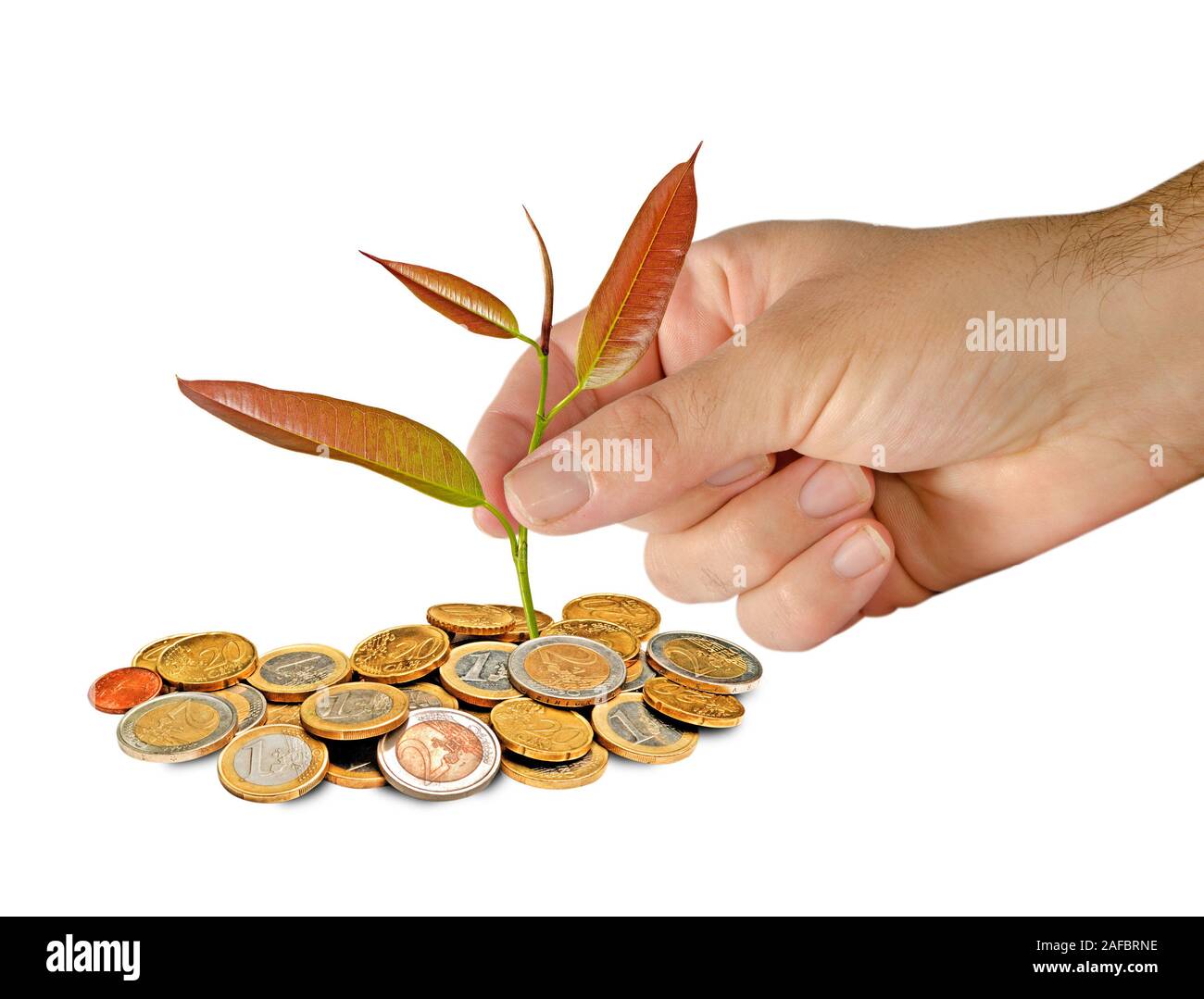 Planting a sapling Stock Photo - Alamy