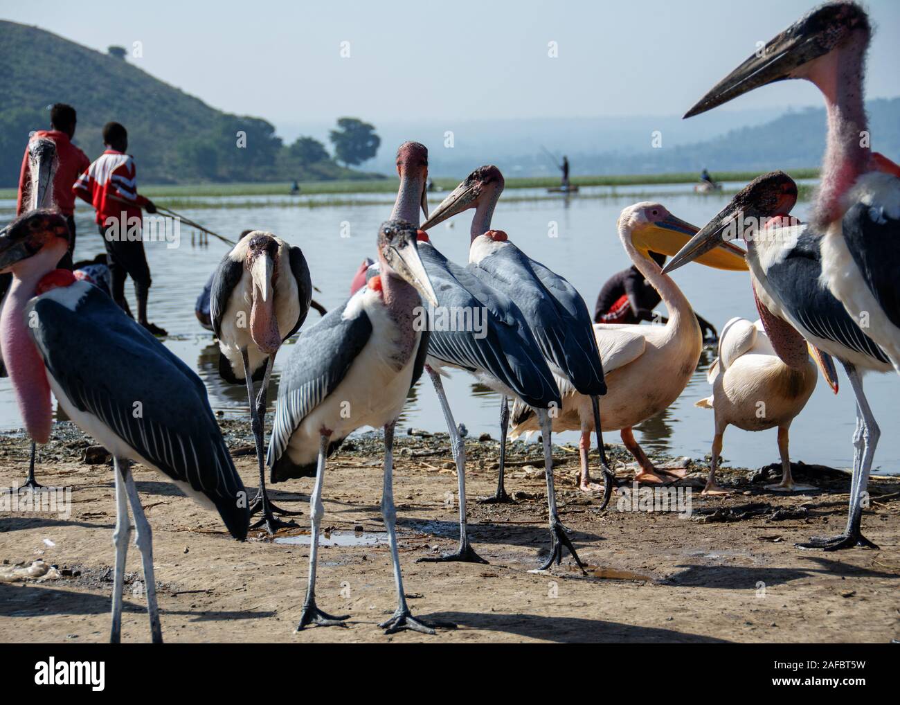 Old fishmarket close hi-res stock photography and images - Alamy