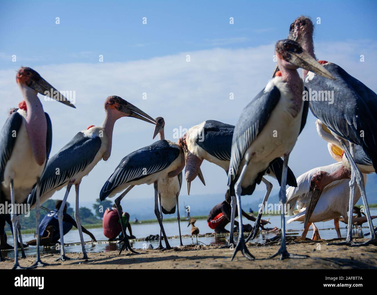 Old fishmarket close hi-res stock photography and images - Alamy