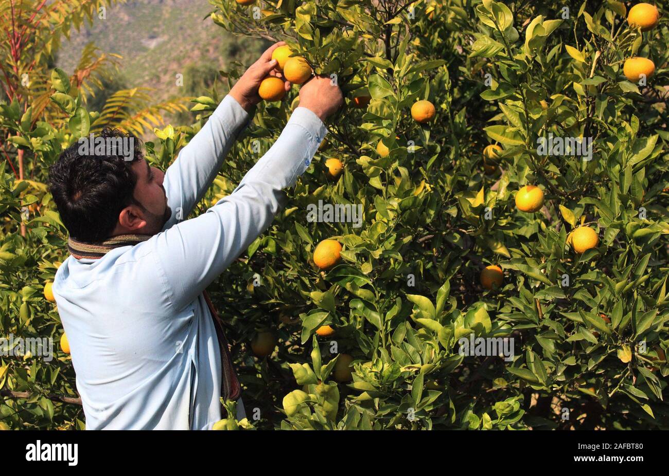 Kunar hi-res stock photography and images - Alamy