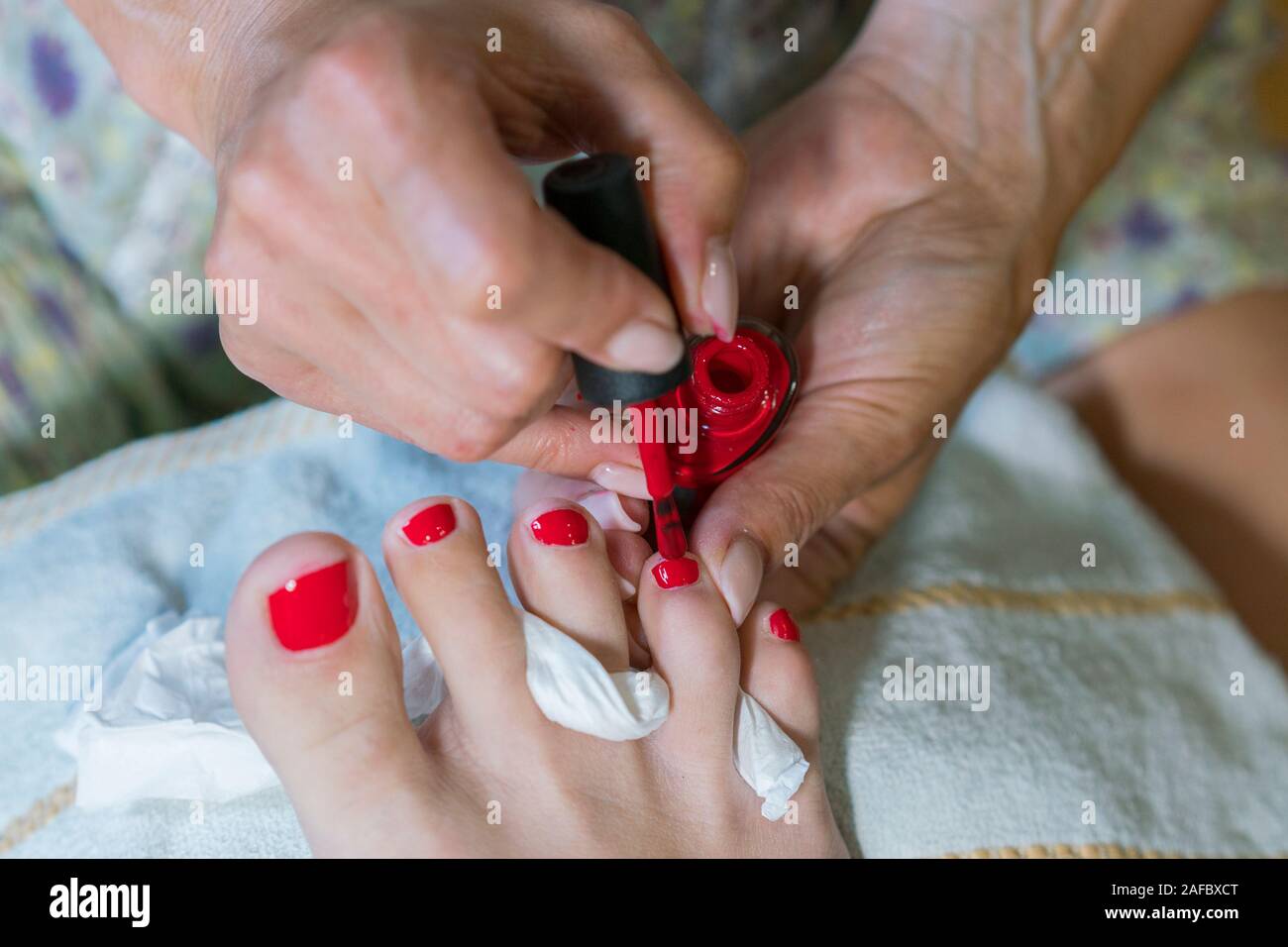 Master does pedicure for client. Pedicure process. Girl draws toenails ...