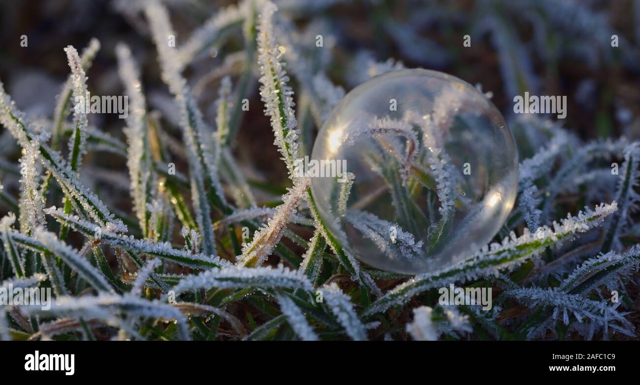 Bubble form structure hi-res stock photography and images - Alamy