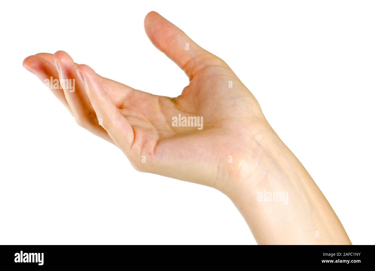 Woman hand isolated on white background Stock Photo - Alamy