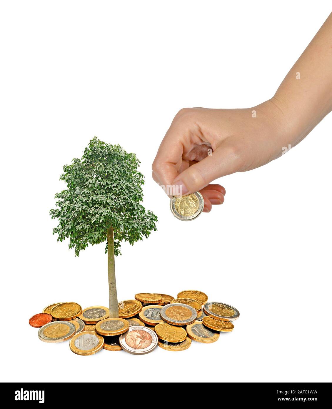 Tree growing from pile of coins Stock Photo - Alamy