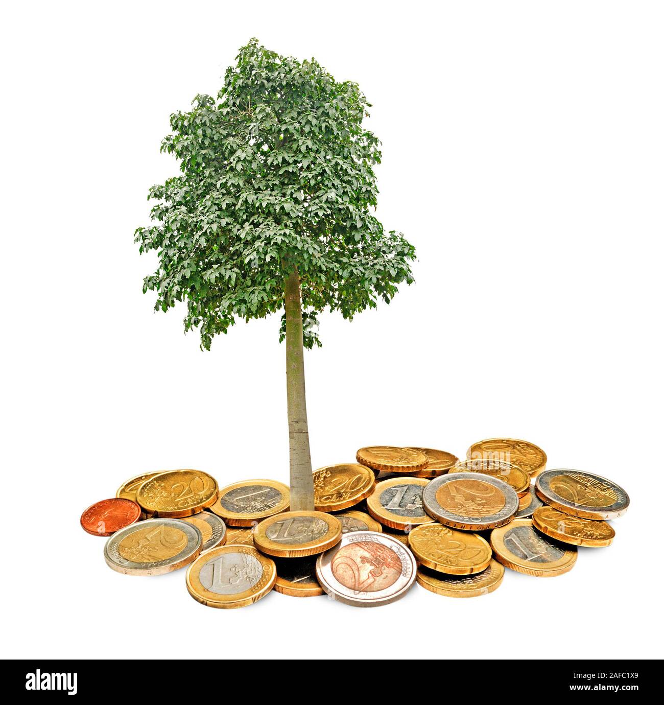 tree growing from coins Stock Photo - Alamy