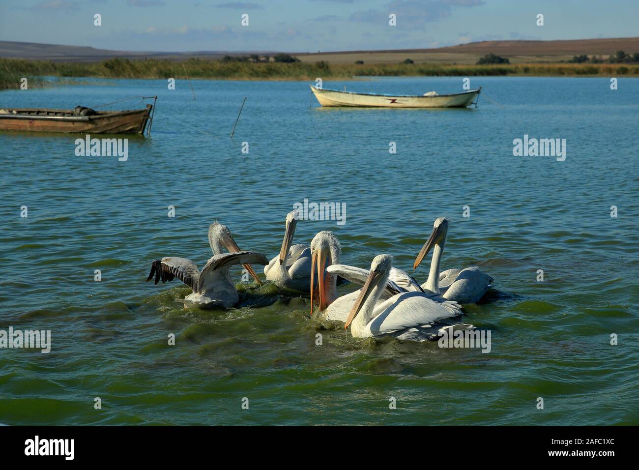 Manyas Lake. The lake on the shore of the Bereketli village is a ...