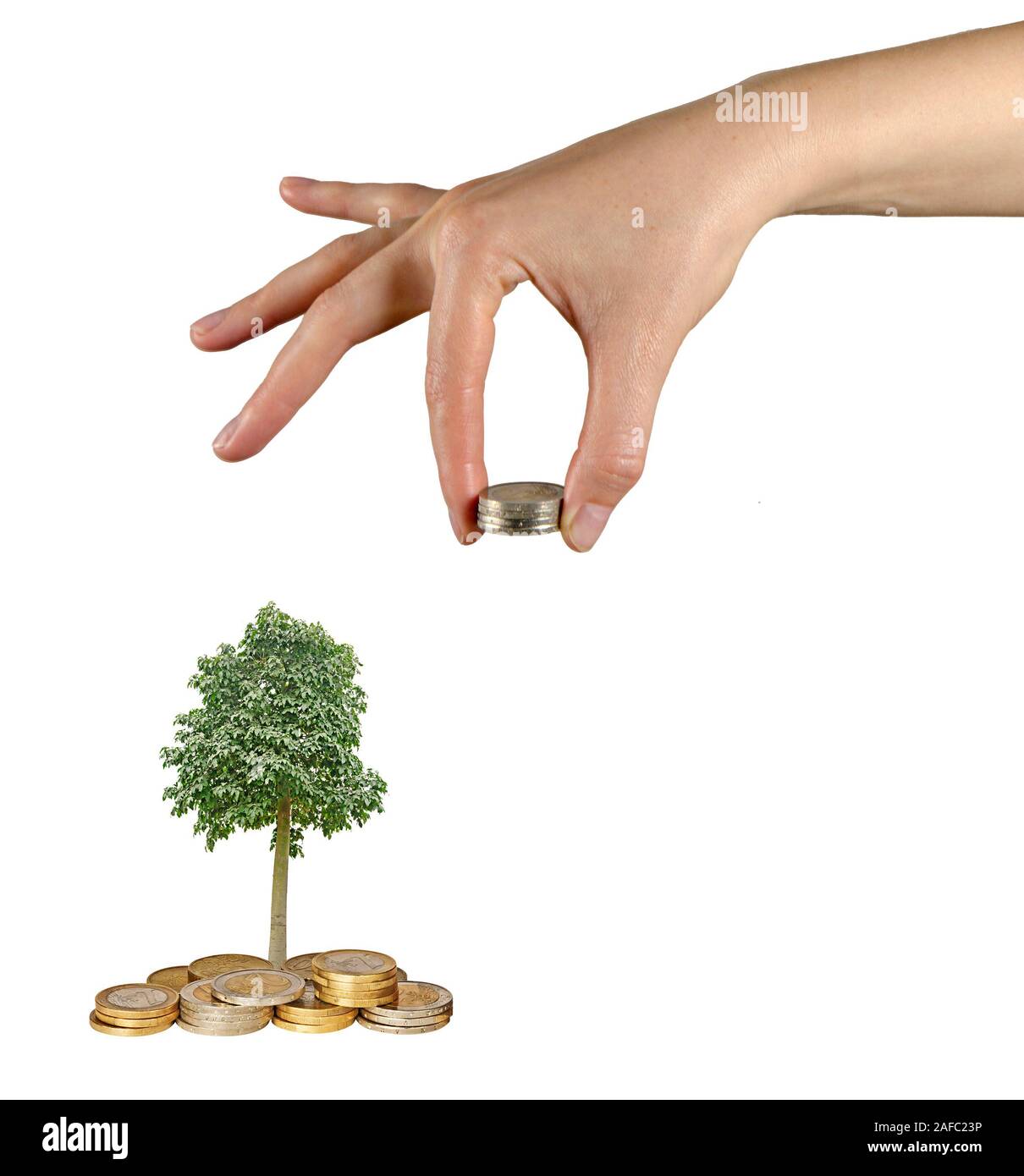 tree growng from pile of coins Stock Photo - Alamy