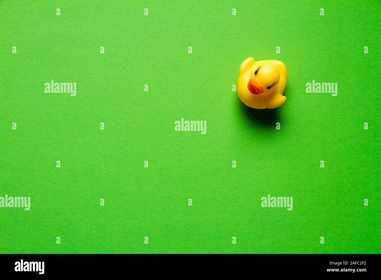 Top view of yellow rubber duck on a green backdrop, minimalistic ...