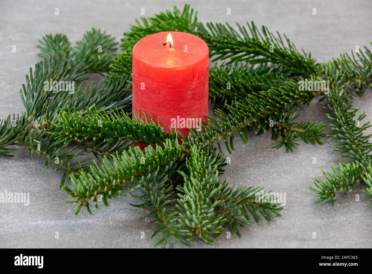 Christmas motif, texture, wallpaper, background with branches of a ...