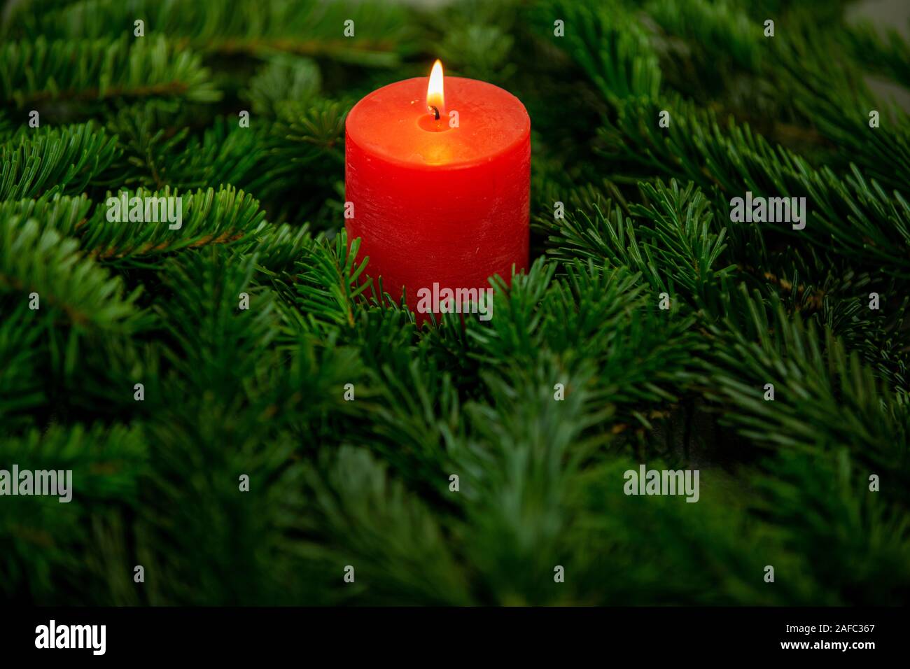 Christmas motif, texture, wallpaper, background with branches of a ...