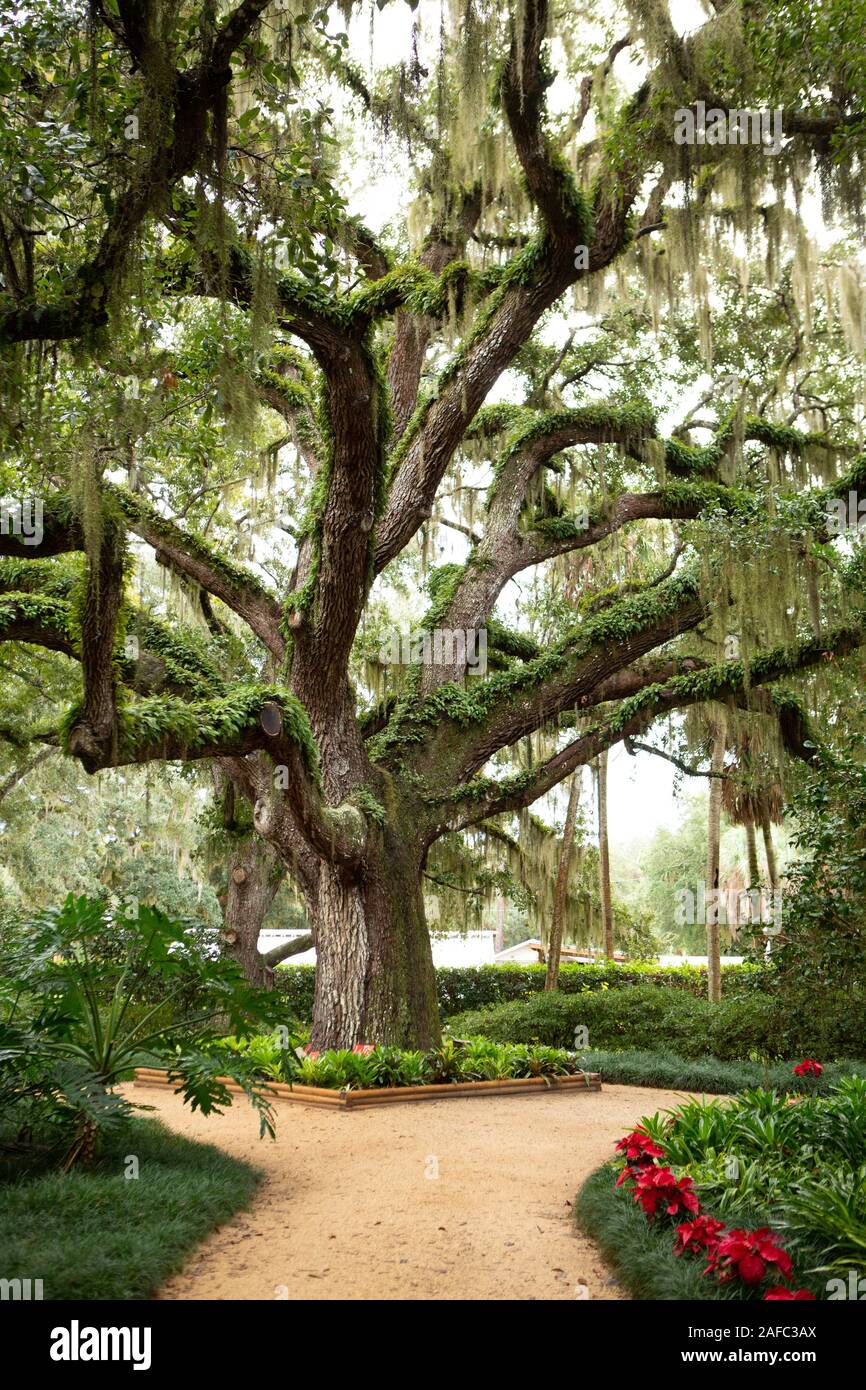 Washington Oaks Gardens State Park, Palm Coast, Florida, USA Stock ...
