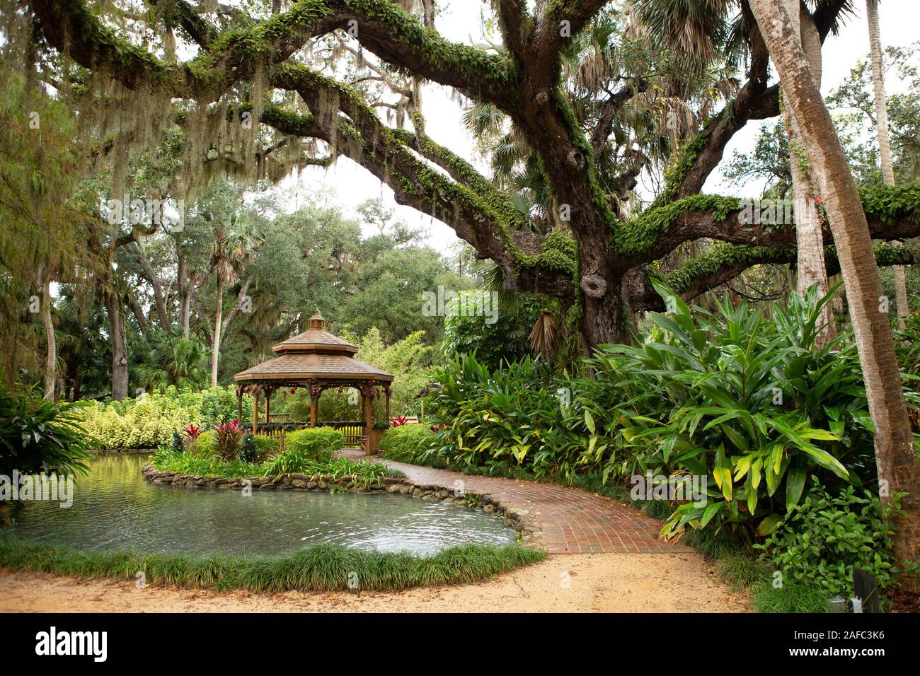 Washington Oaks Gardens State Park, Palm Coast, Florida, USA Stock ...