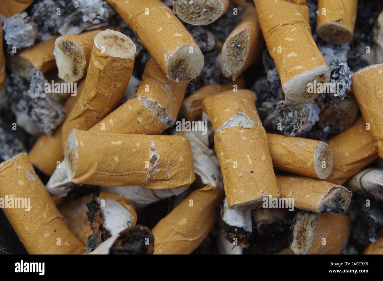 The rest of many cigarette butts in the dirty ashtray. A lot of ...