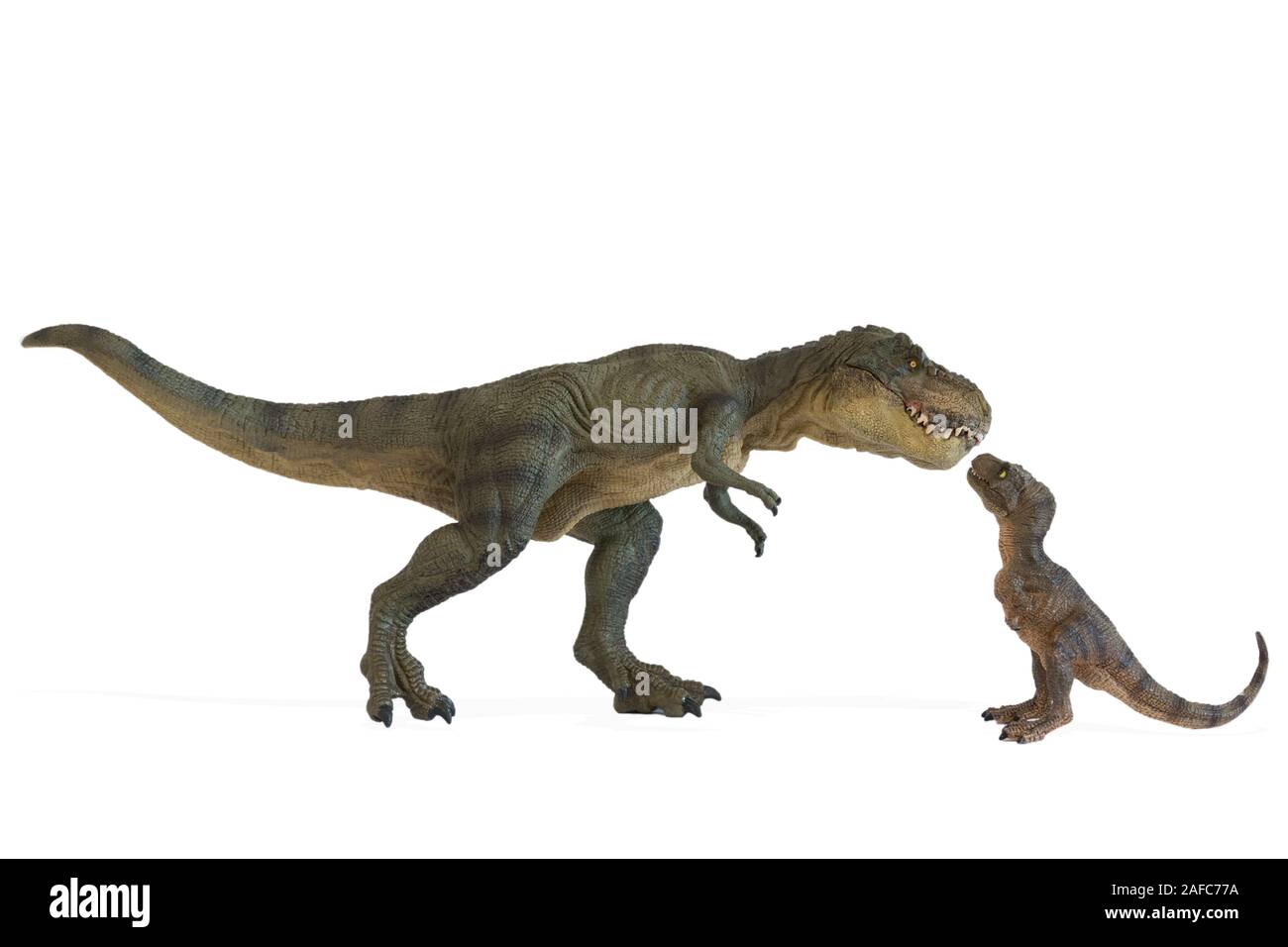 Tyrannosaurus rex with baby tyrannosaurus rex isolated on white ...