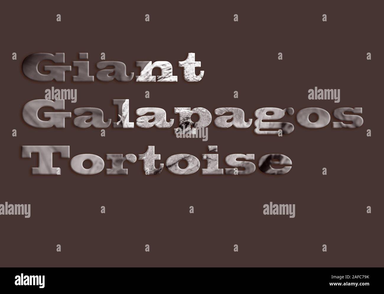 Sign slow turtle hi-res stock photography and images - Alamy