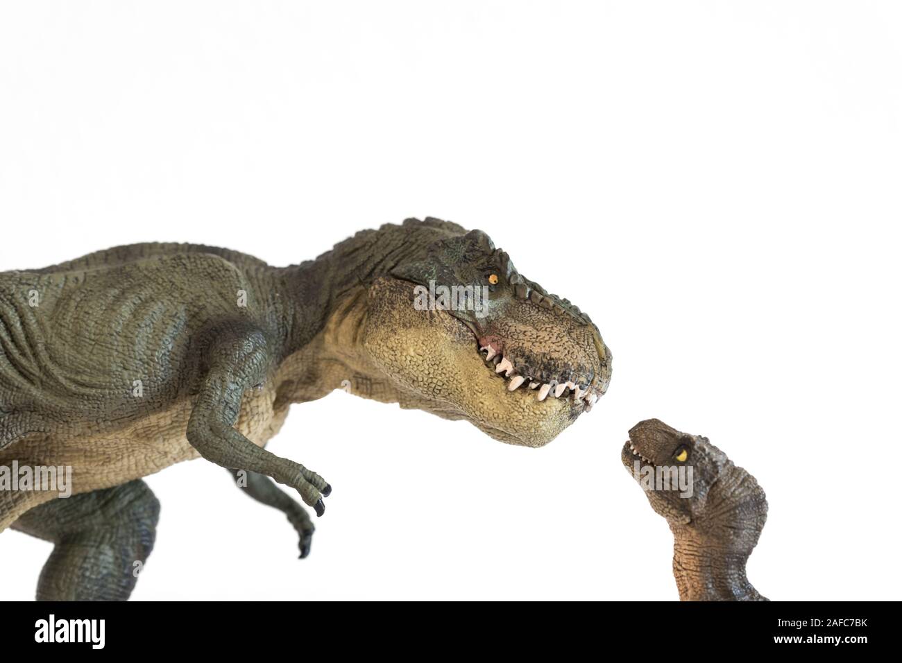 Tyrannosaurus rex with baby tyrannosaurus rex isolated on white ...