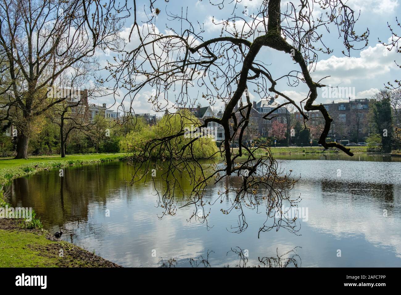 Amsterdam park water hi-res stock photography and images - Alamy