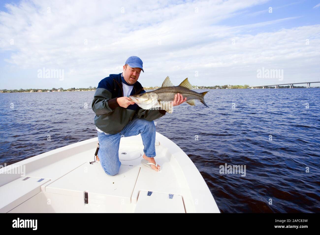 Man with snook fish caught in Stuart, Florida, USA Model Released Stock ...